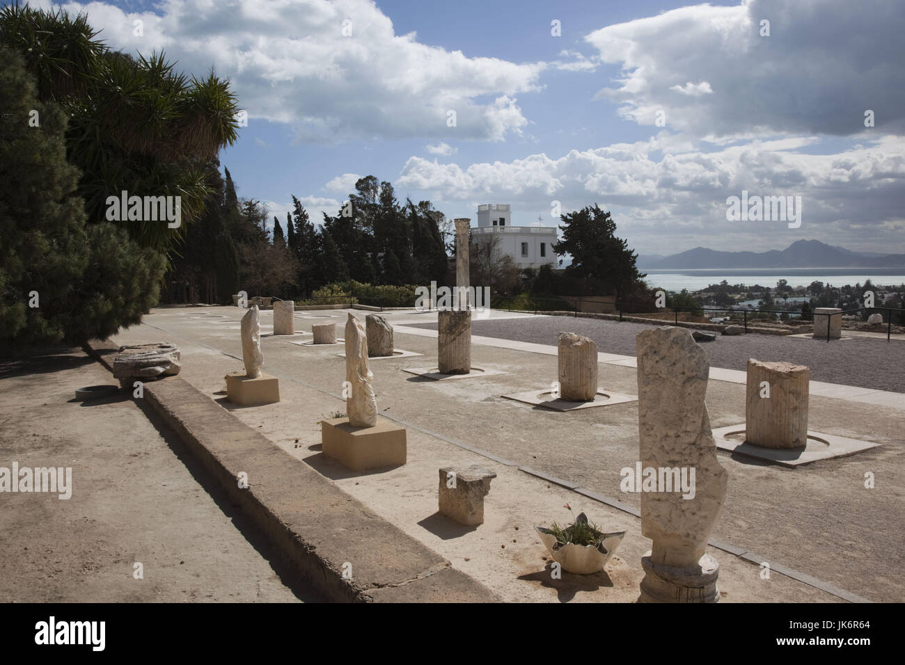 Tunisia, Tunis, Carthage, Byrsa Hill, sculpture park Stock Photo - Alamy