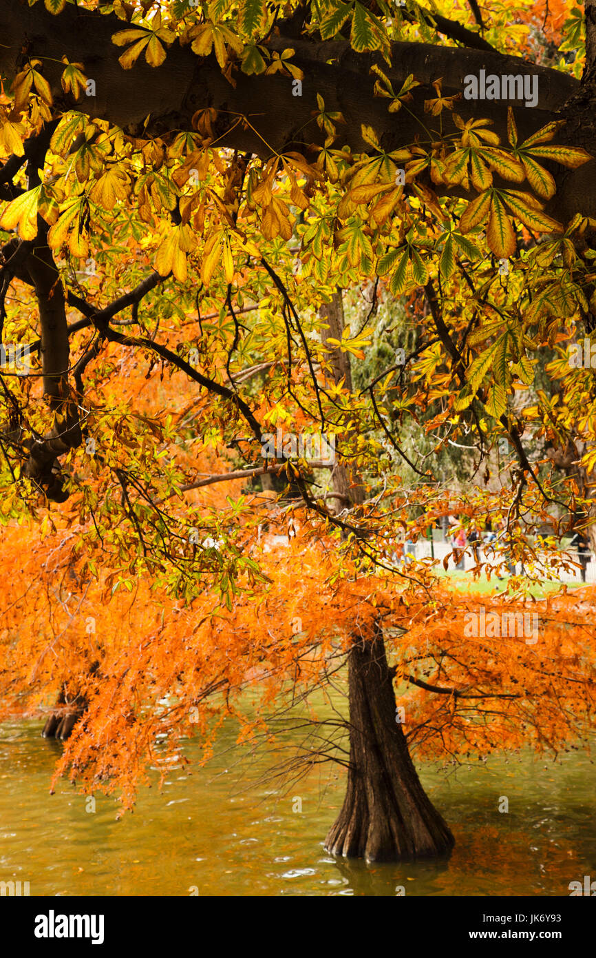 Spain, Madrid, Parque del Buen Retiro park, fall foliage Stock Photo ...