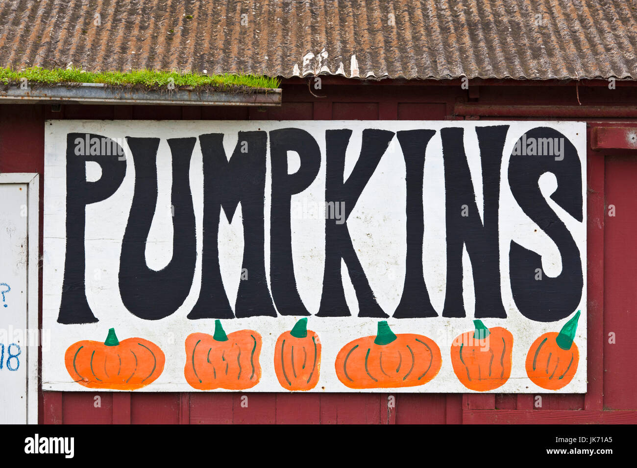 USA, California, Central Coast, Swanton, sign at pumpkin farm Stock ...