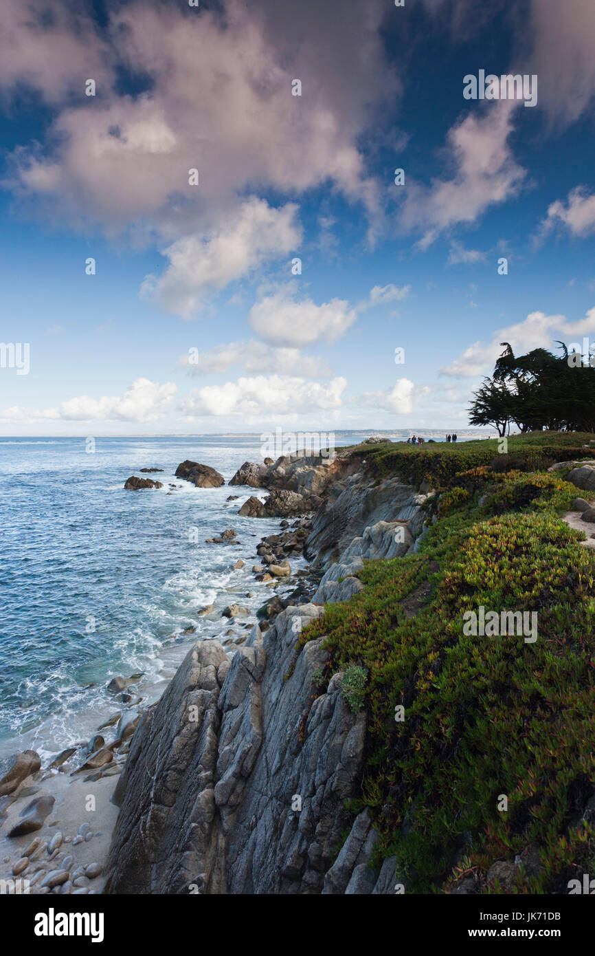USA, California, Central Coast, Monterey, Monterey Bay Coast, Shoreline ...