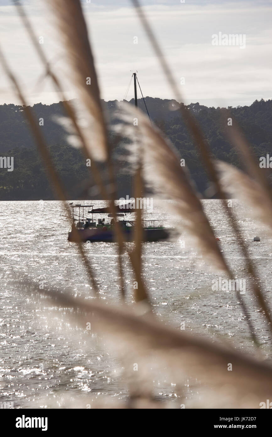 USA, California, Northern California, North Coast, Tomales Bay ...