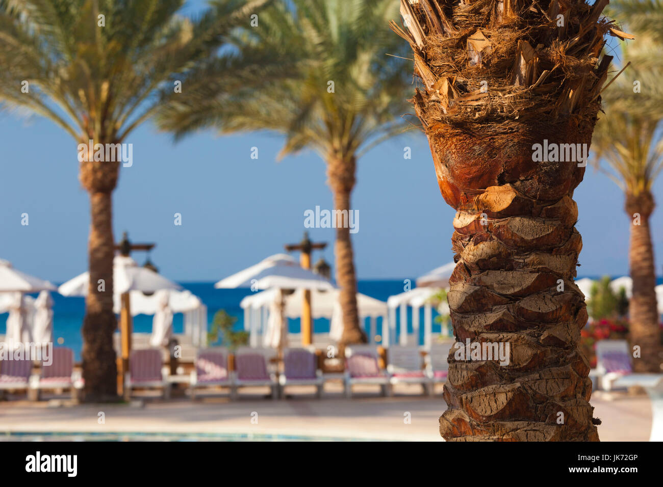 Jordan, Aqaba, Red Sea Beach, hotel swimming pool, detail Stock Photo ...