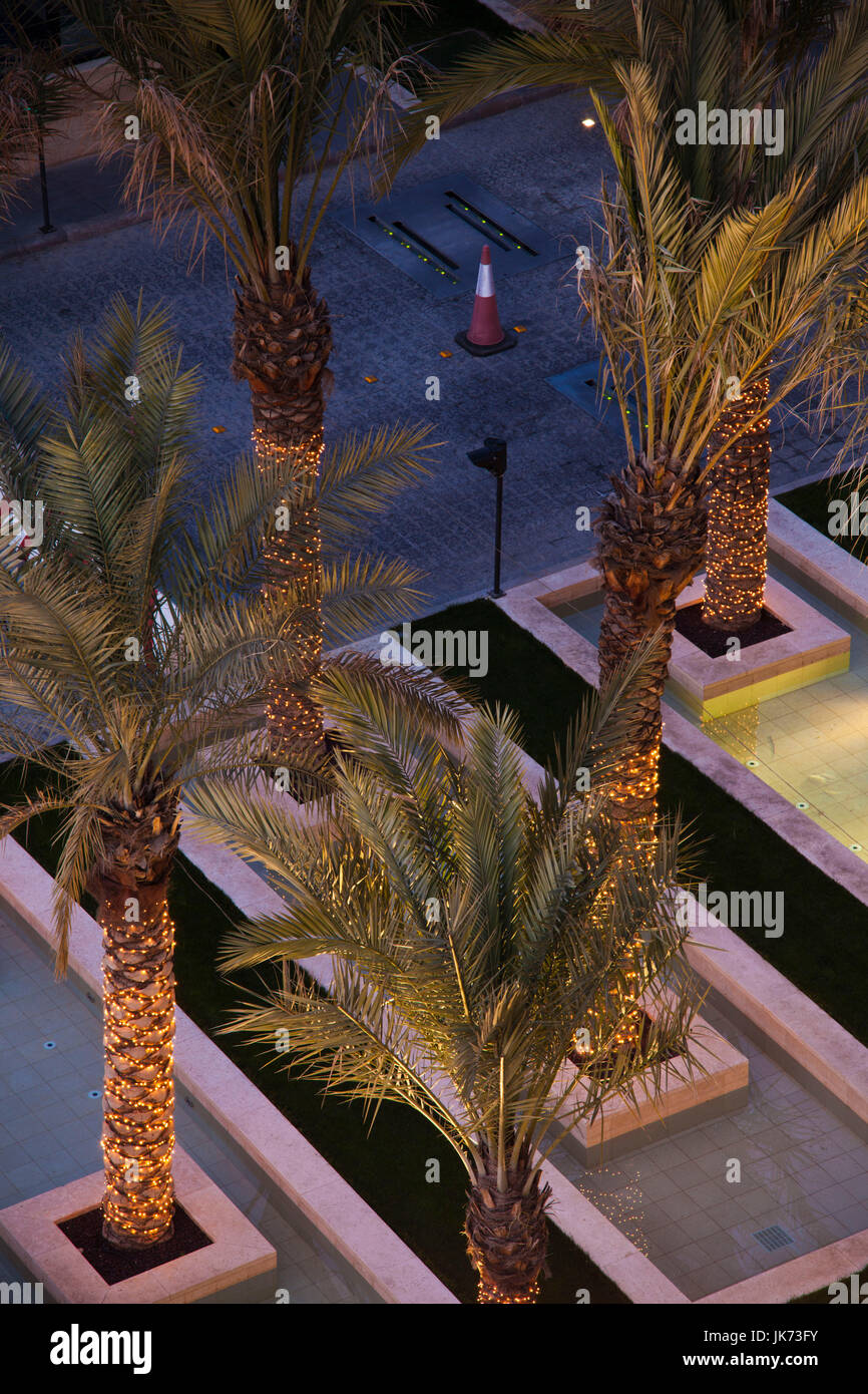 Jordan, Amman, elevated view of palm trees, dawn Stock Photo - Alamy