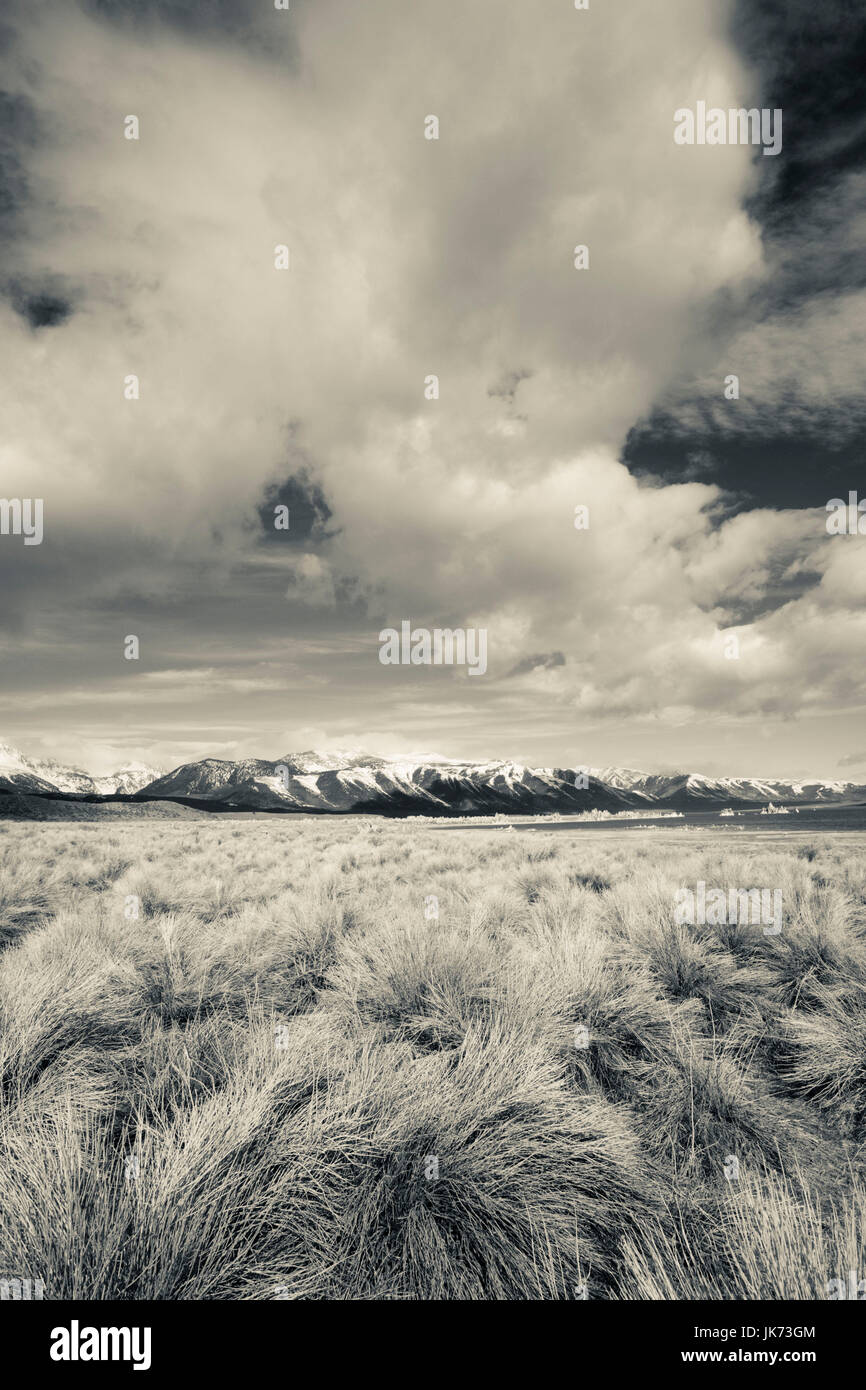 USA, California, Eastern Sierra Nevada Area, Lee Vining, Mono Lake ...