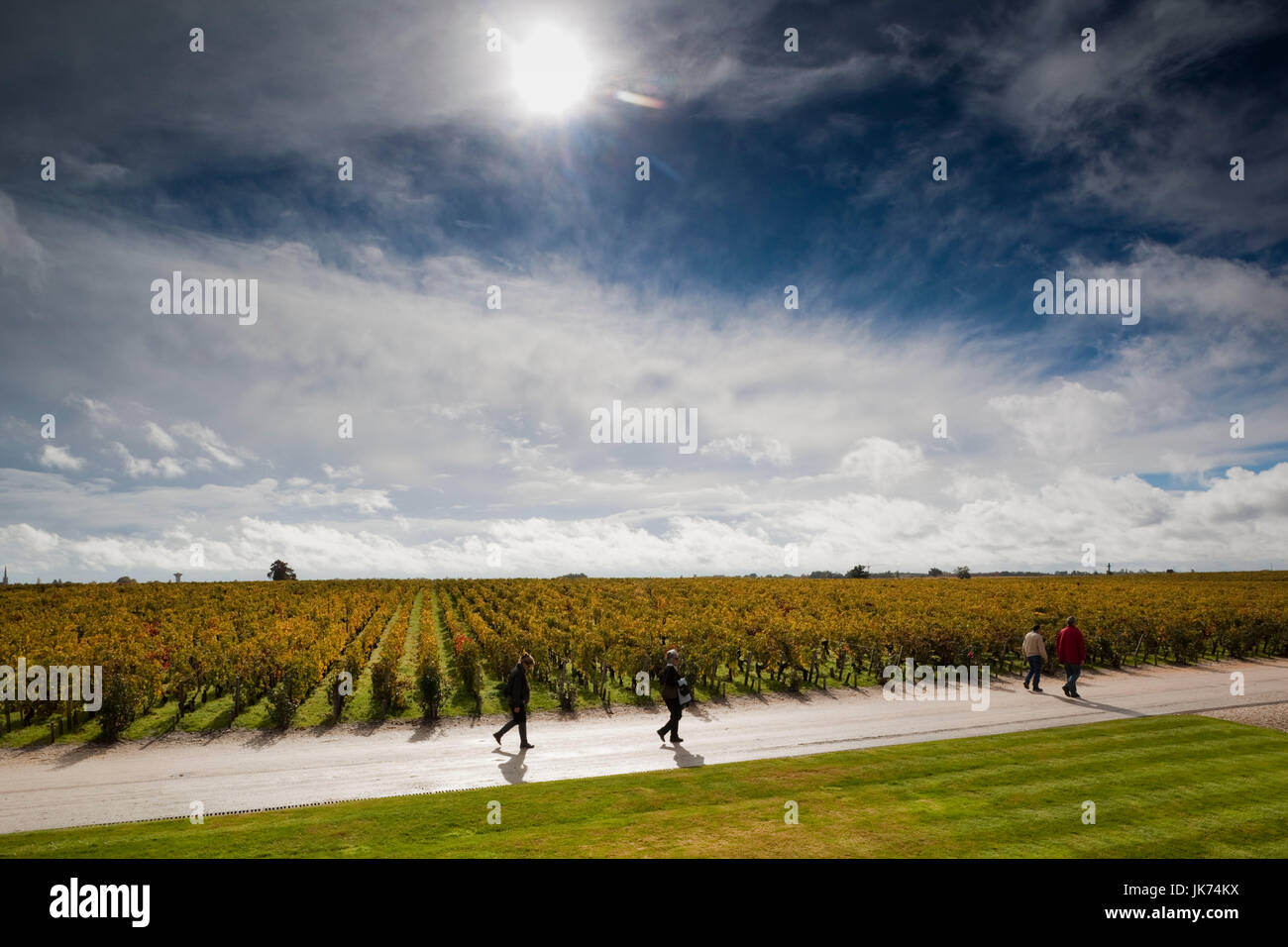 France, Aquitaine Region, Gironde Department, Haute-Medoc Area ...