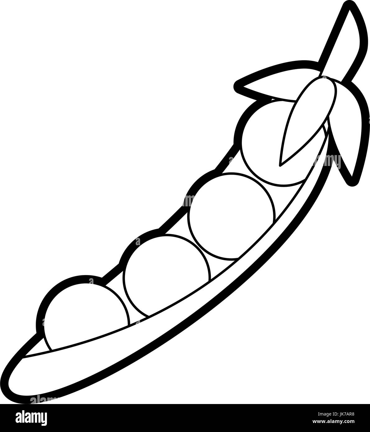 peas vector illustration Stock Vector Image & Art - Alamy