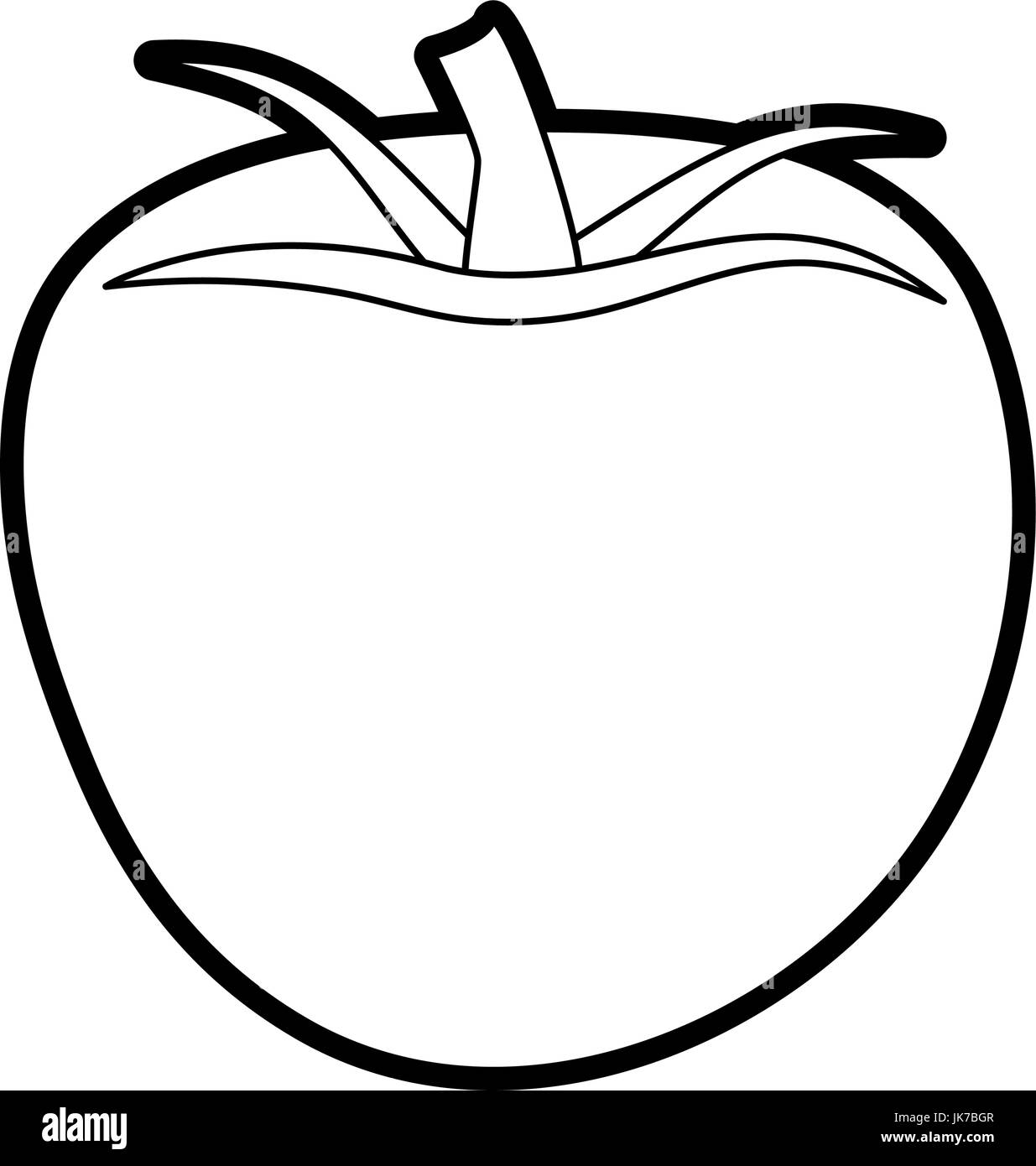 Tomato Vector Illustration Stock Vector Image And Art Alamy