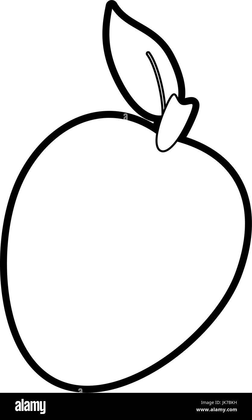 mango vector illustration Stock Vector Image & Art - Alamy