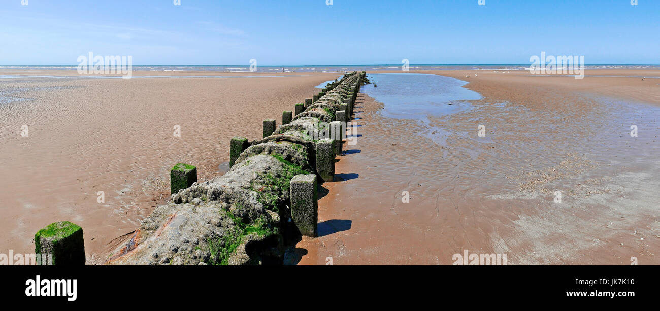 Panoramic of old barnacle covered discharge pipe on Blackpool beach ...