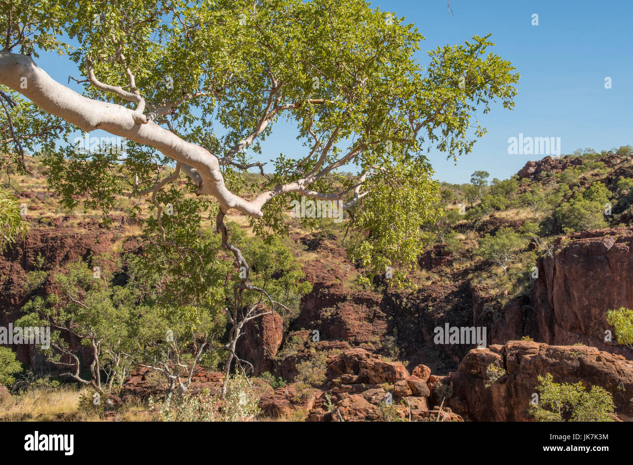 Lawn Hill Gorge from Duwadarri Lookout, Boodjamulla National Park ...