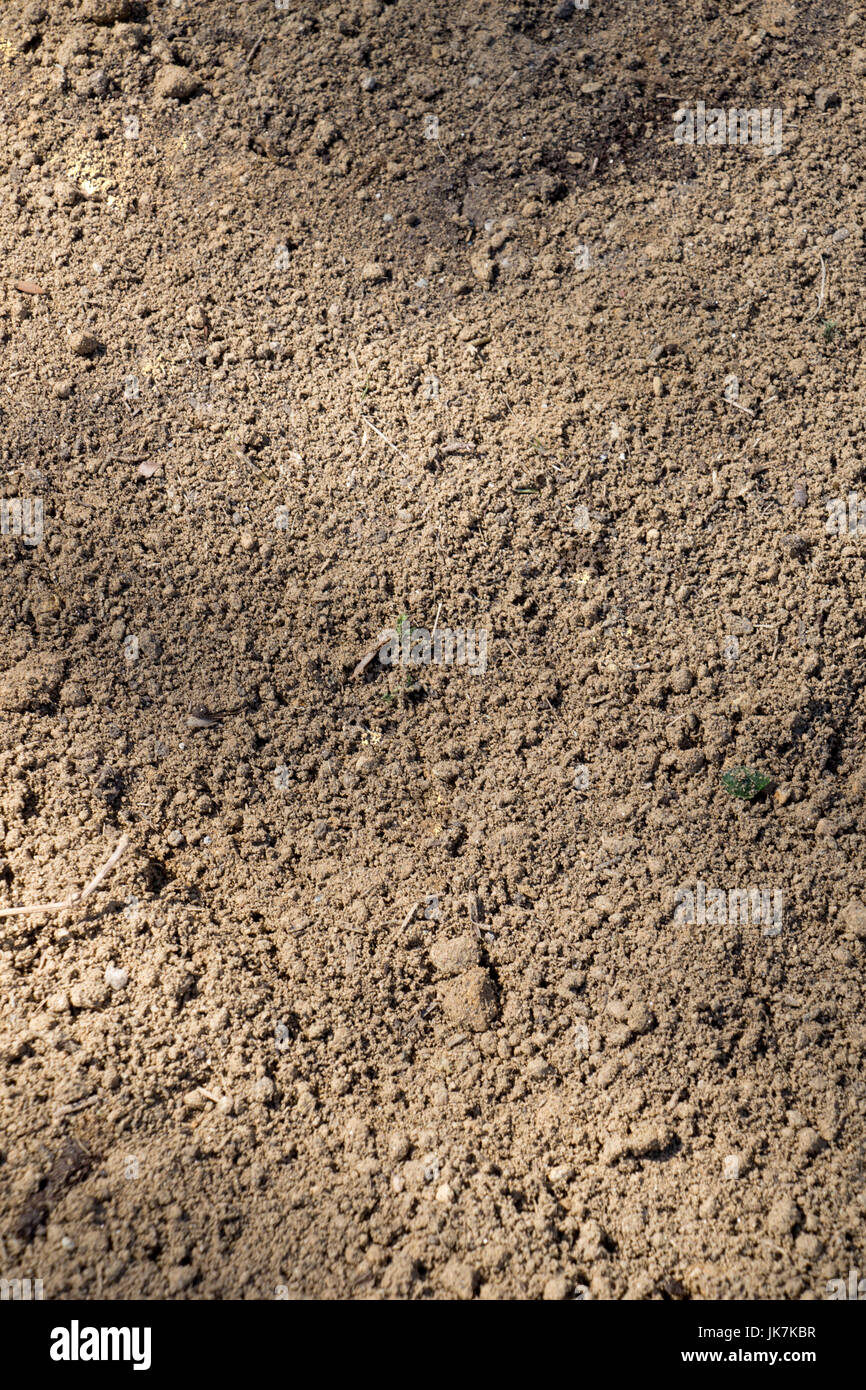 Soil surface as a background texture Stock Photo - Alamy