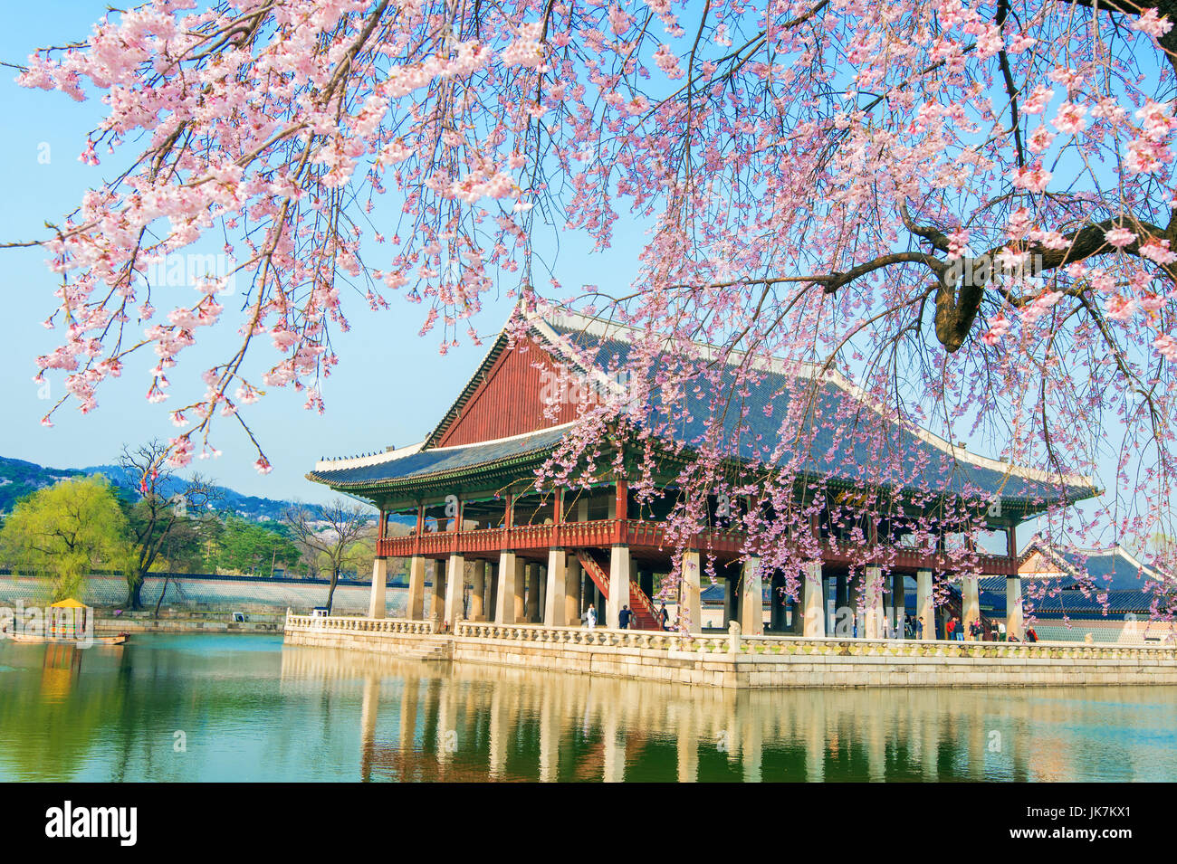 Gyeongbokgung Palace with cherry blossom in spring,Korea Stock Photo ...