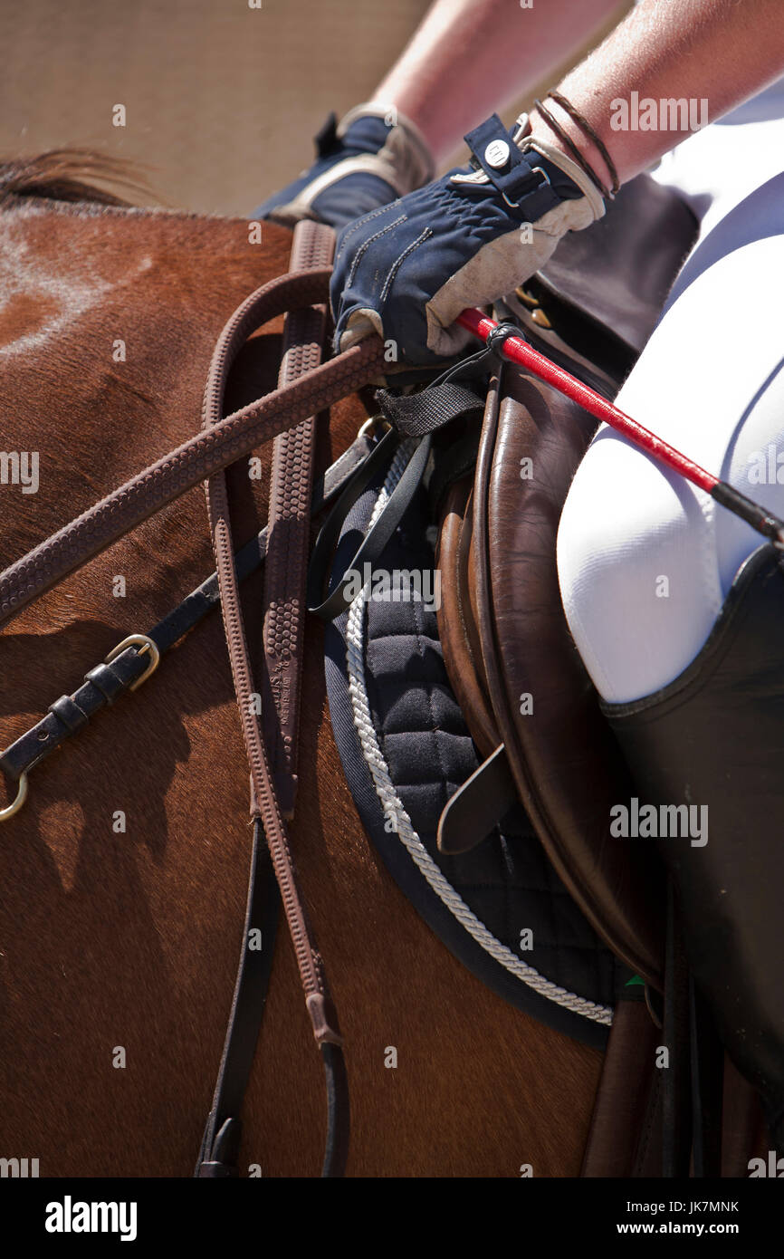 Spanish stallion horse hi-res stock photography and images - Alamy