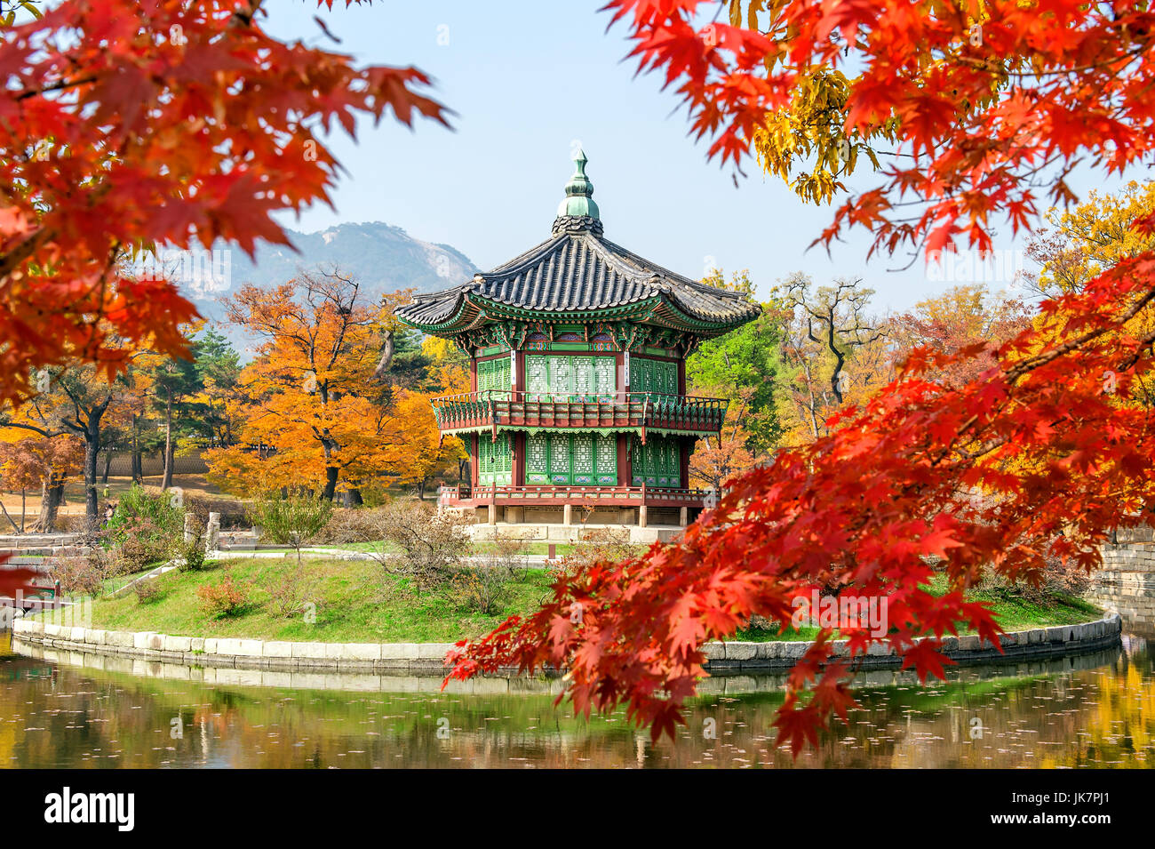 Gyeongbukgung and Maple tree in autumn in korea Stock Photo - Alamy