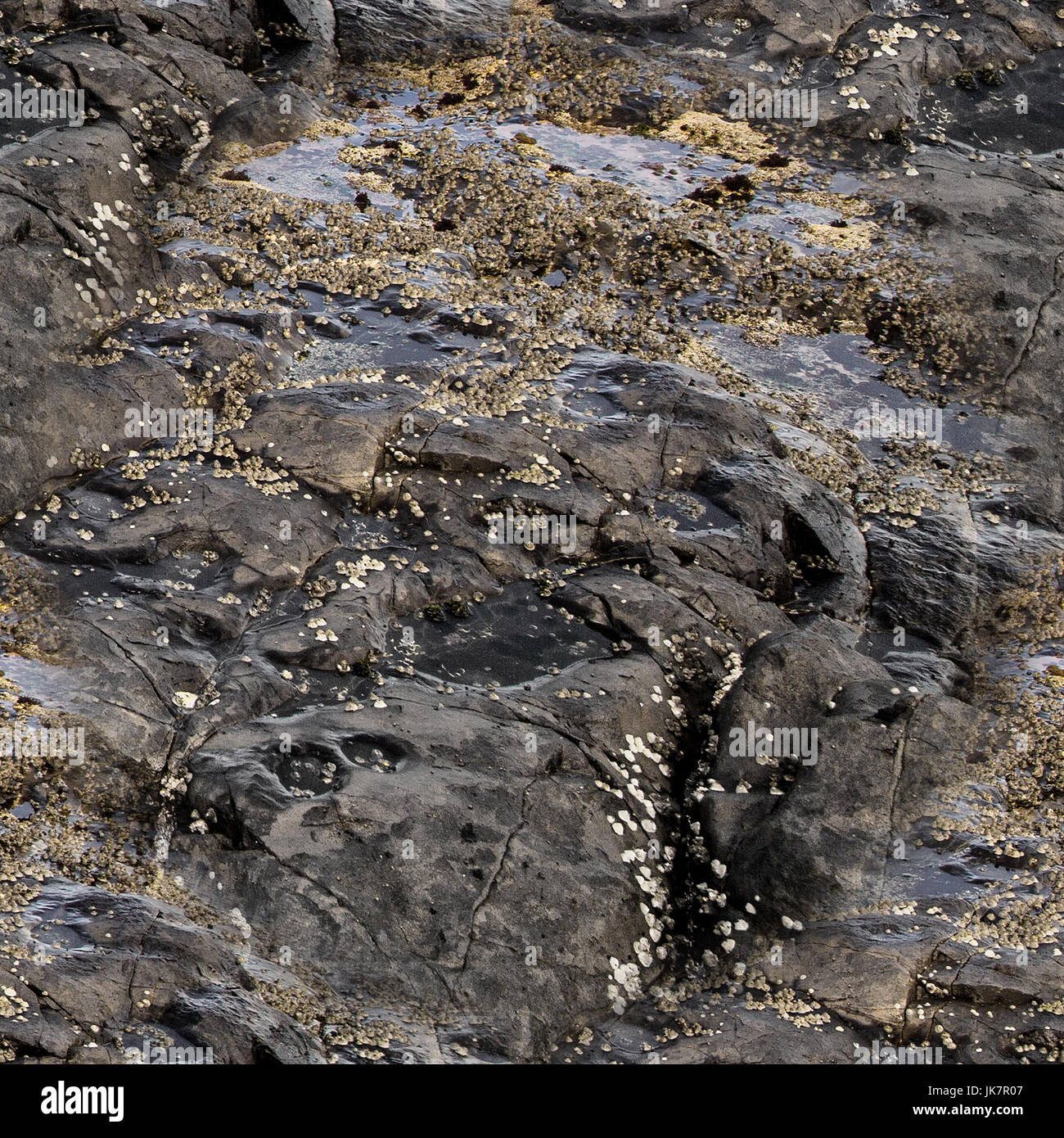 Seamless Texture of Rocks and Stones to create infinite backgrounds ...