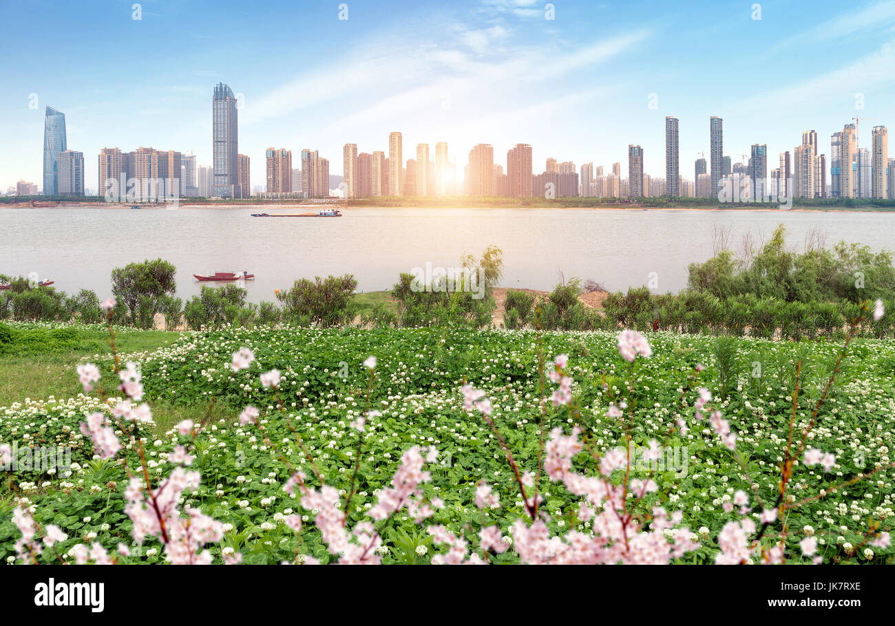 Urban landscape, riverfront office buildings and residential buildings ...