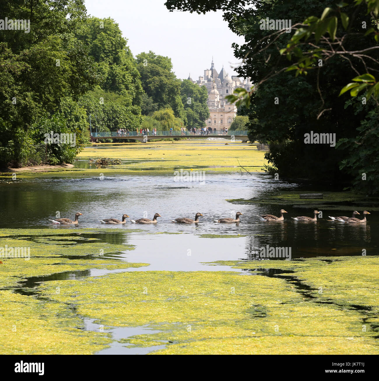 June 1976 weather hi-res stock photography and images - Alamy