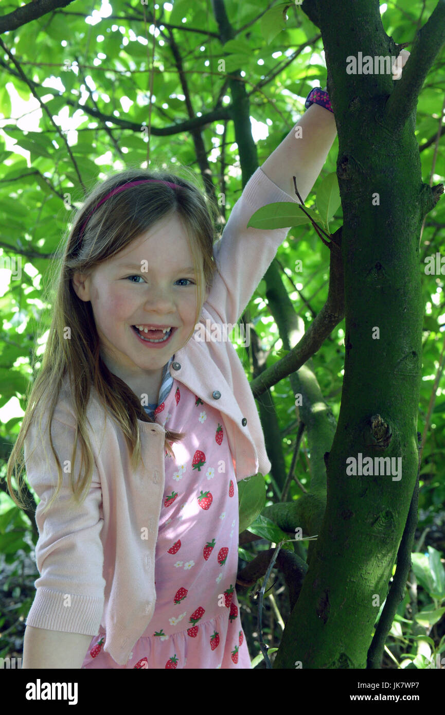 six year old girl climbing tree Stock Photo - Alamy