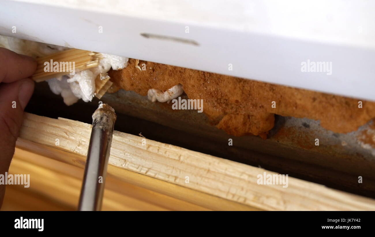 Nozzle of construction gun fills space under window frame by ...