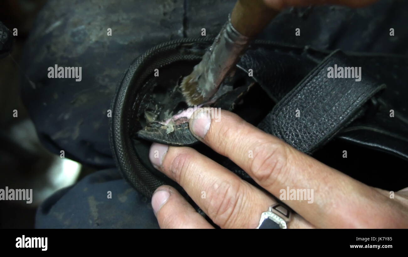 Shoemaker repairing a shoe in workshop 4k. sizing shoes Stock Photo - Alamy