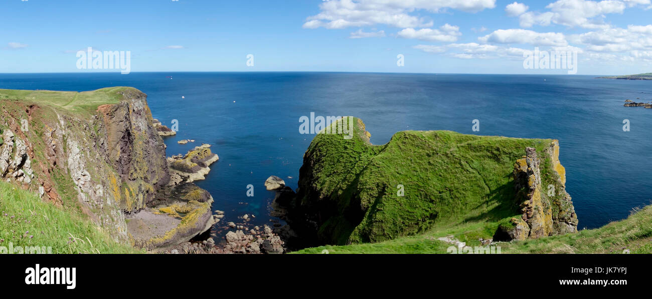 Cliffs at St abbs head Stock Photo - Alamy