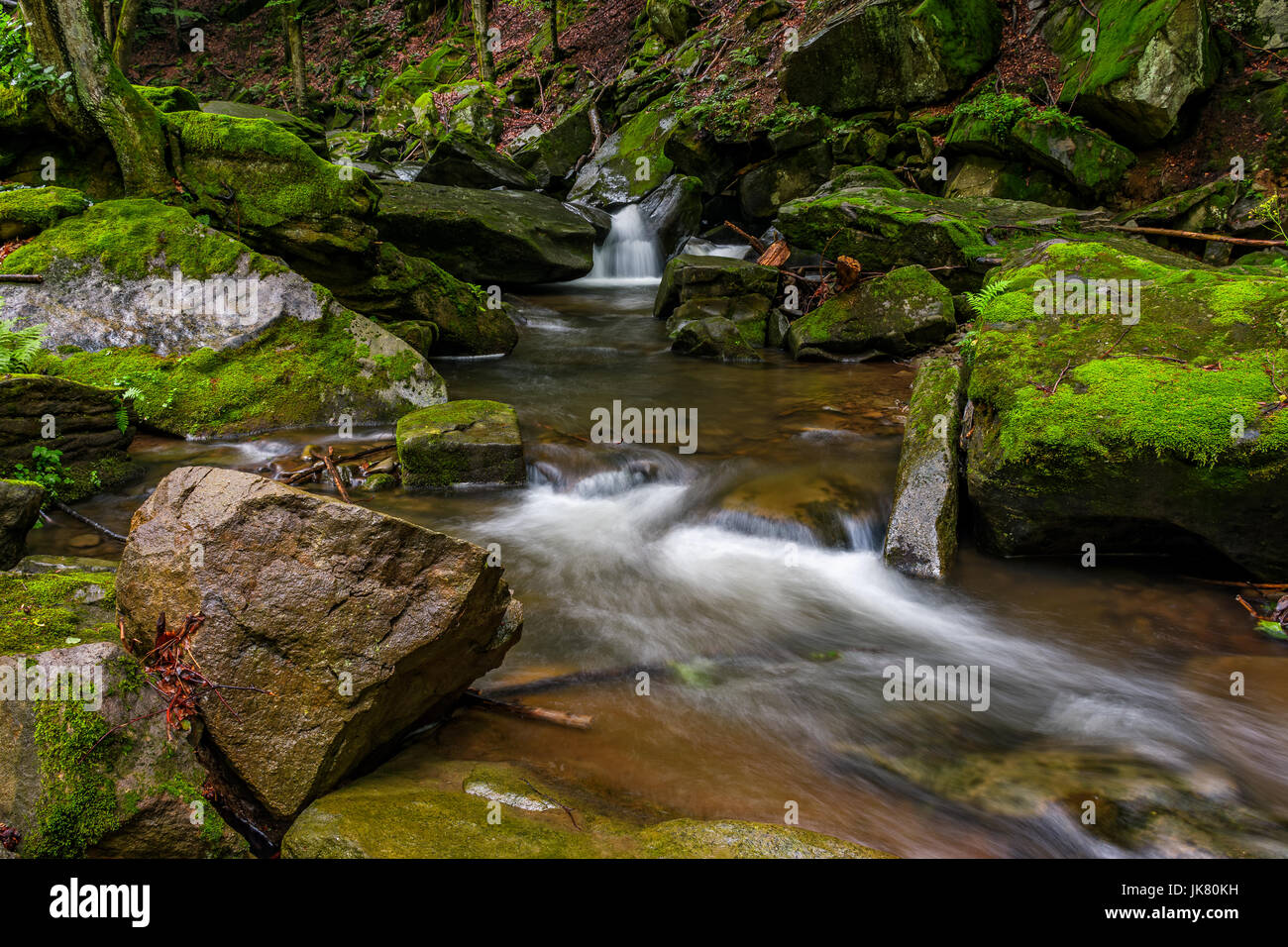 powerful creak with cascade in green forest. tones covered with moss ...