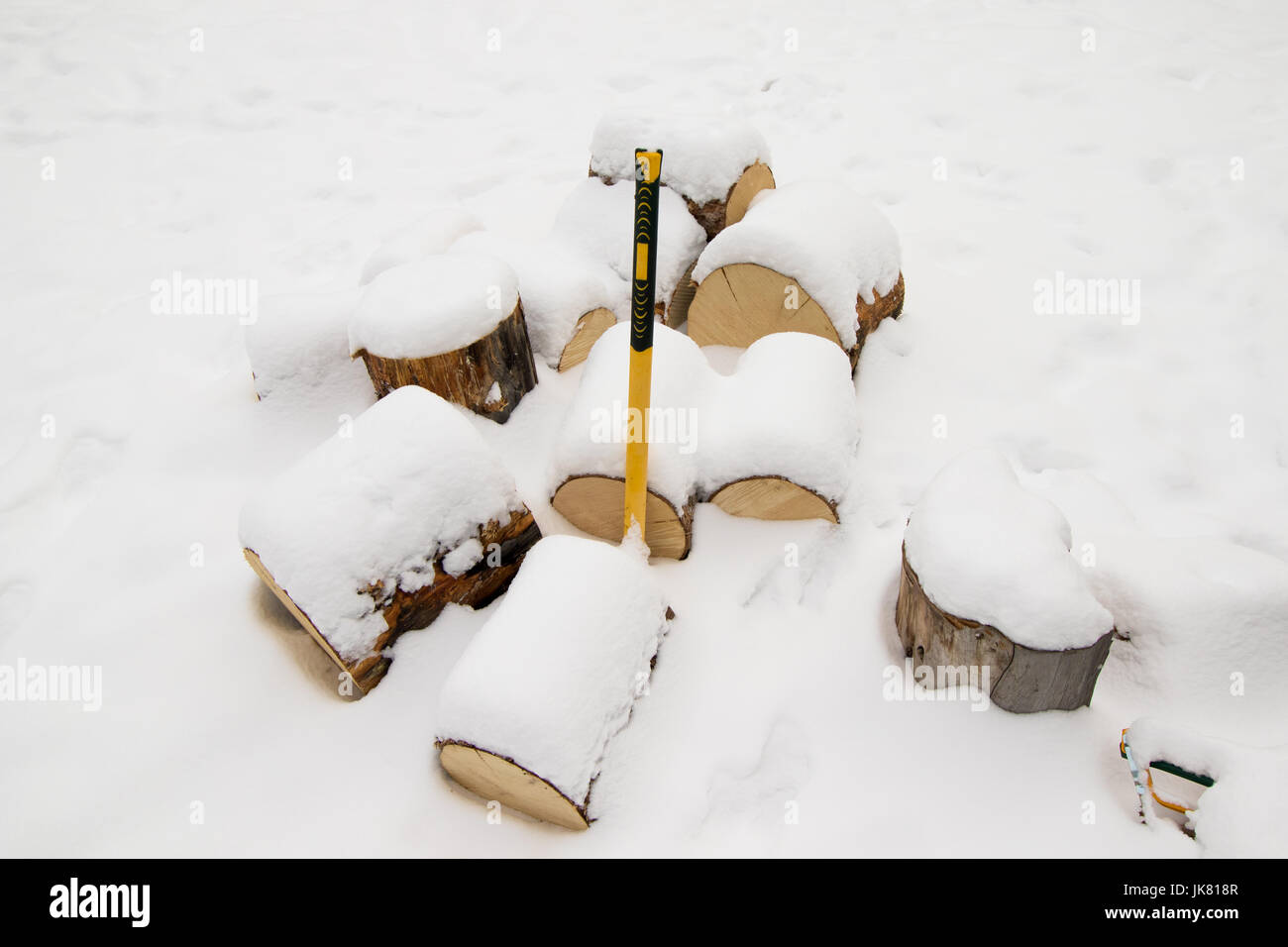 Pile of pine logs ready to be split with an axe for winter firewood ...