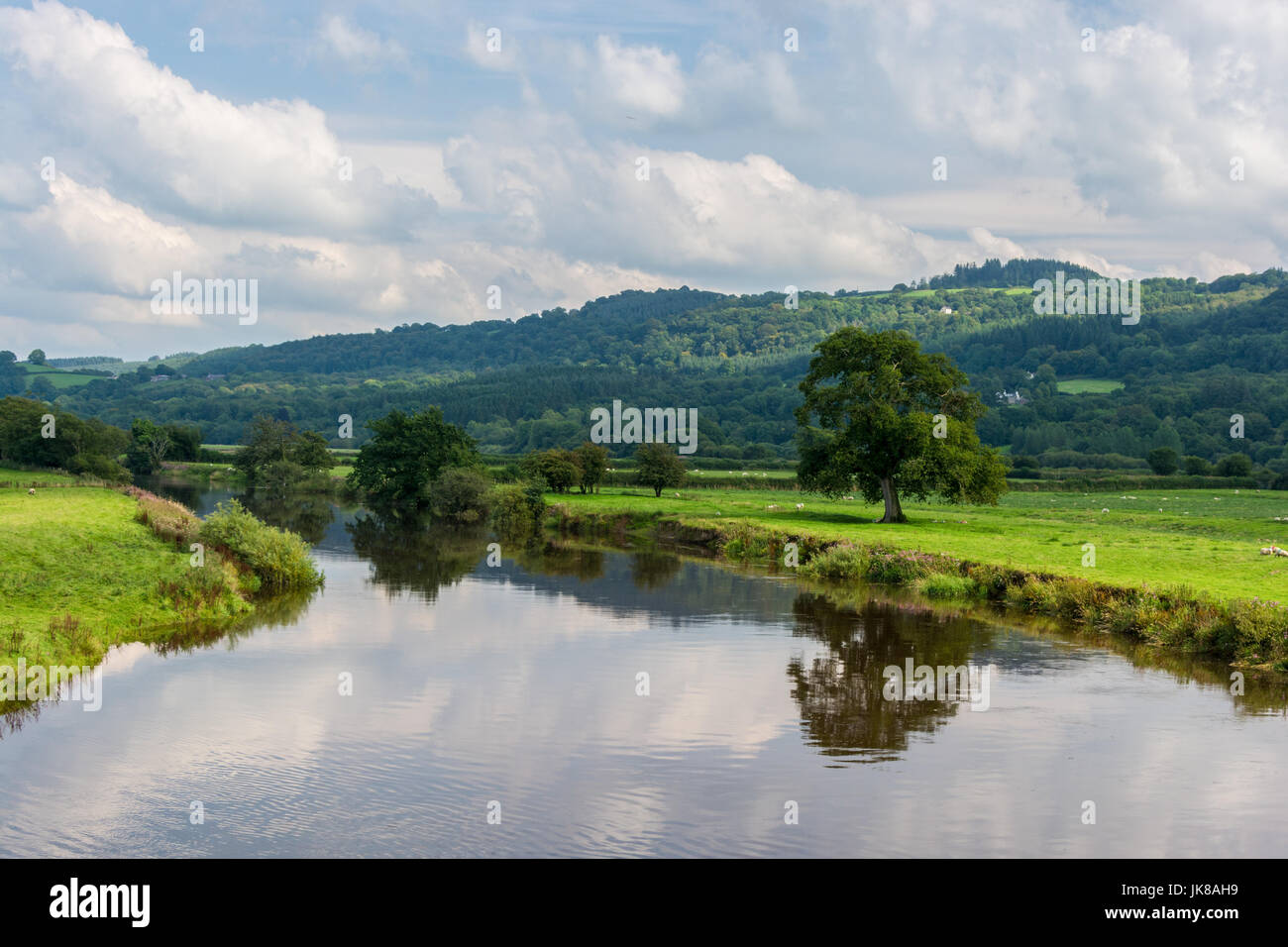 River Towy, Dryslwyn, Carmarthenshire Stock Photo - Alamy