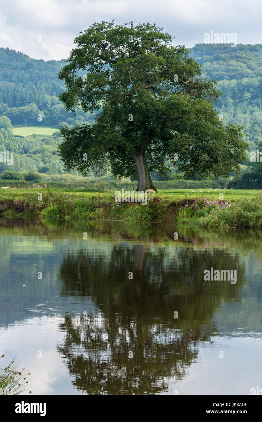 Valley of river towy hi-res stock photography and images - Alamy