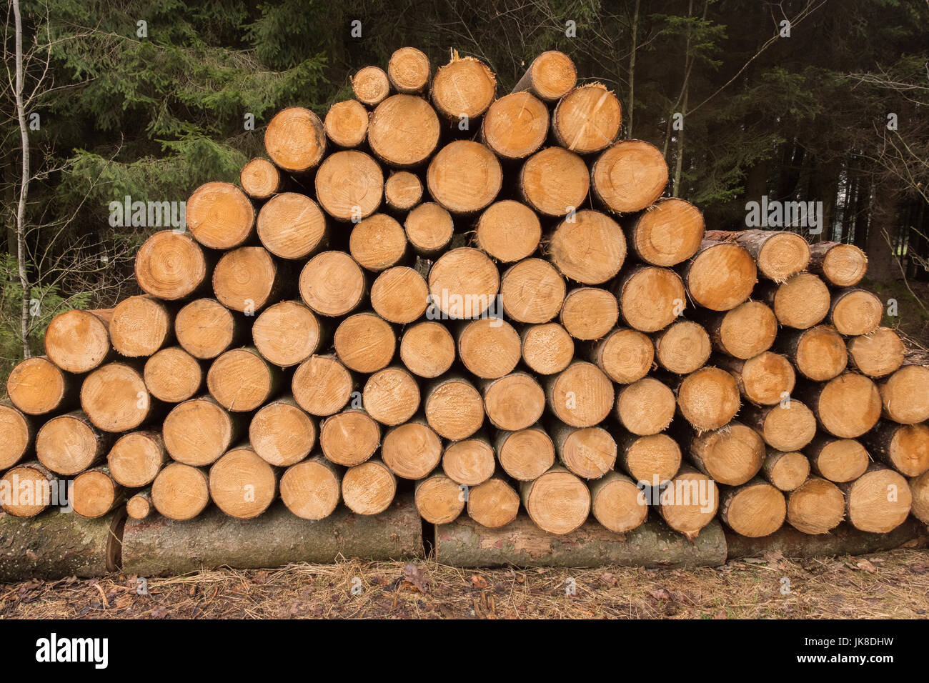 Wooden trunks hi-res stock photography and images - Alamy