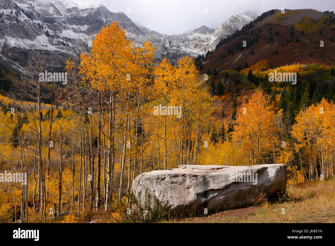 Wasatch mountain state park hi-res stock photography and images - Alamy