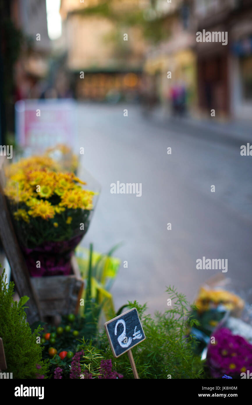 Spain, Aragon Region, Zaragoza Province, Zaragoza, flower stall Stock ...