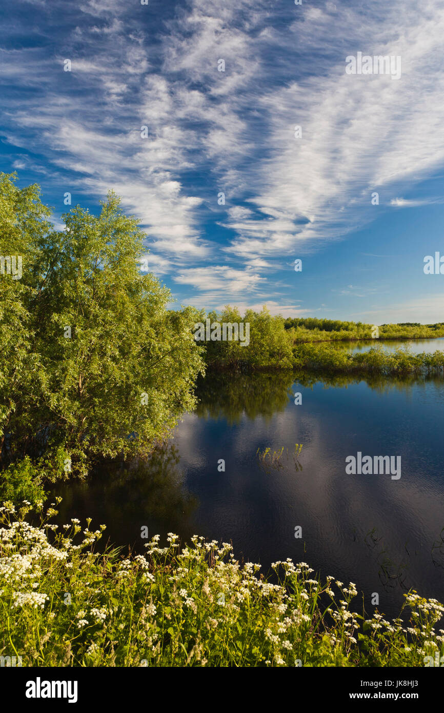 Novgorod oblast hi-res stock photography and images - Alamy