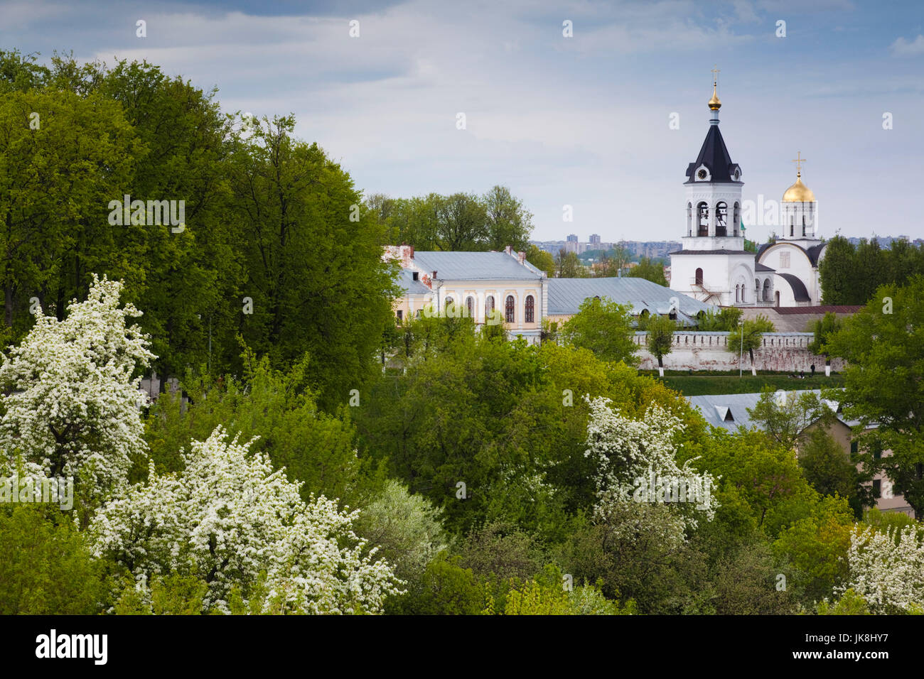Russia, Vladimir Oblast, Golden Ring, Vladimir, Cathedral of Saint ...