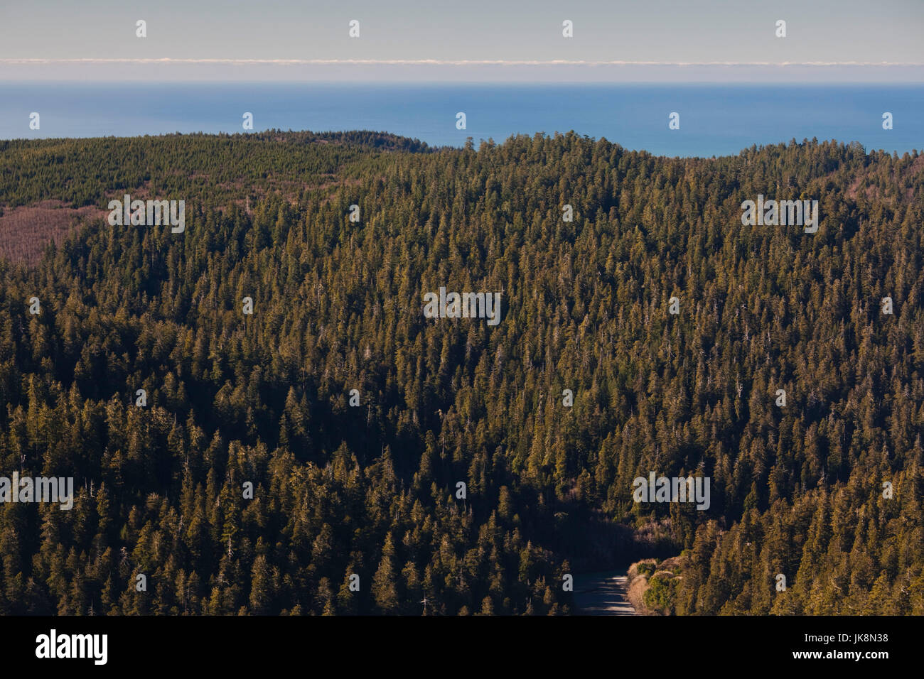 USA, California, Northern California, North Coast, Orick, Redwoods ...