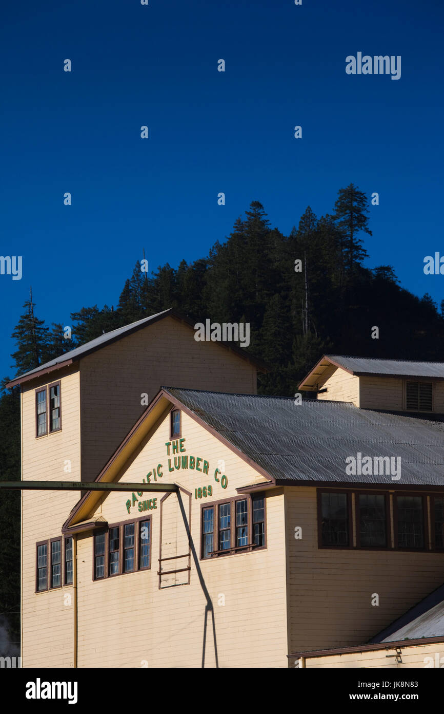 USA, California, Northern California, North Coast, Scotia, Pacific ...