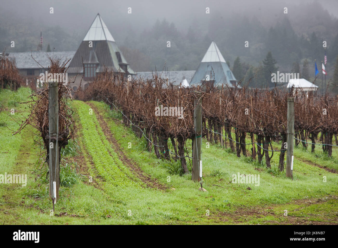 USA, California, Northern California, Russian River Wine Country ...