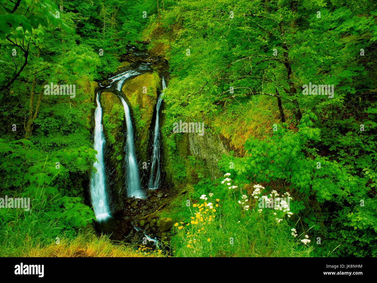 Triple Falls. Columbia River Gorge National Scenic Area, Oregon Stock ...