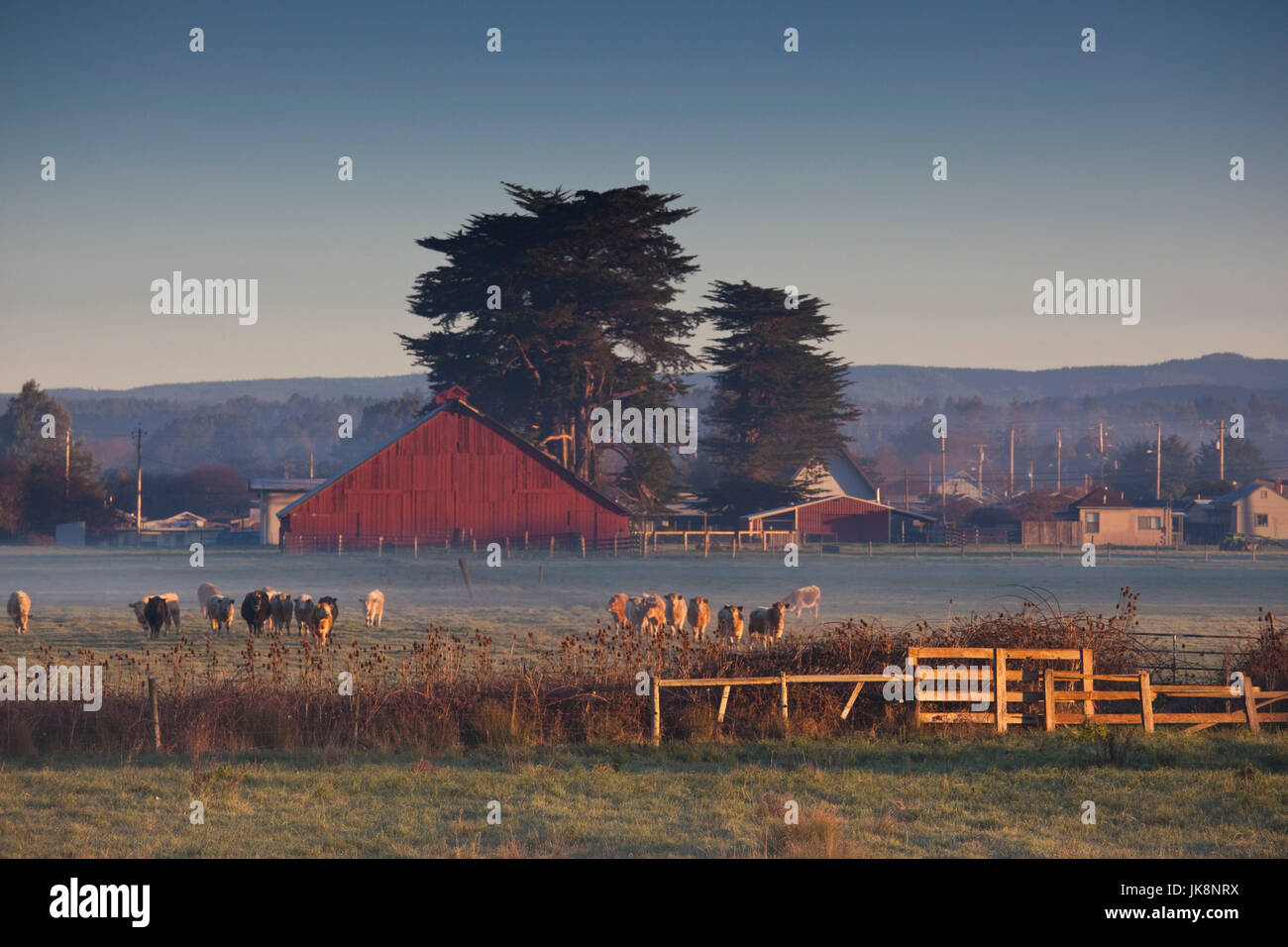 Arcata california hi-res stock photography and images - Alamy