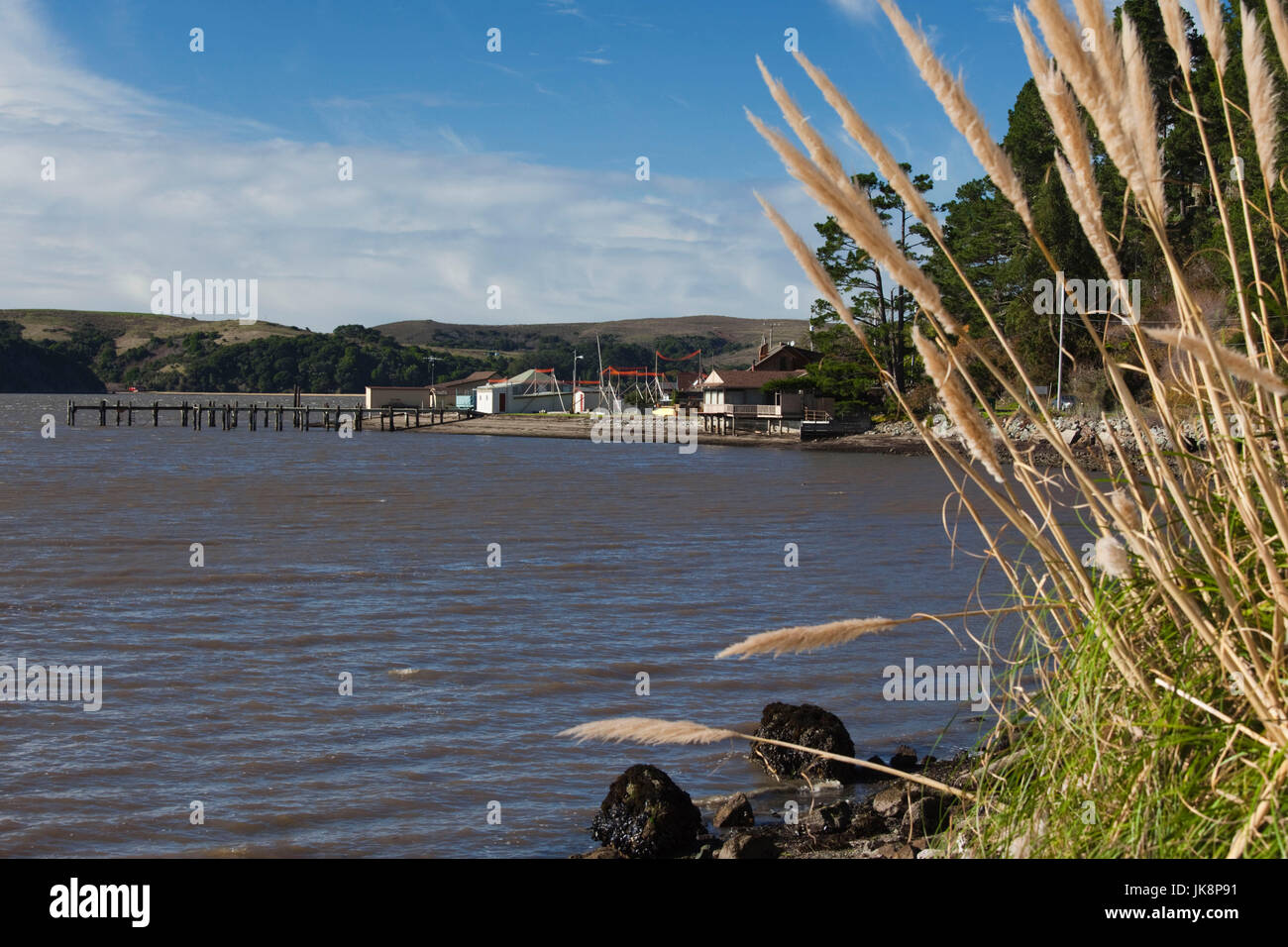 USA, California, Northern California, North Coast, Tomales Bay ...