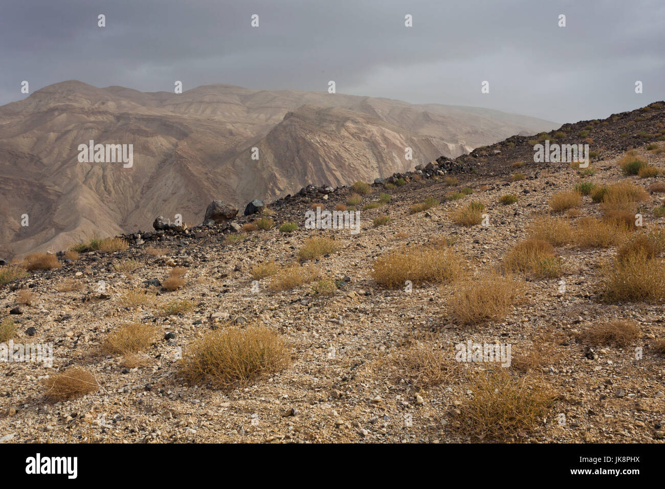 Wadi zarqa hi-res stock photography and images - Alamy