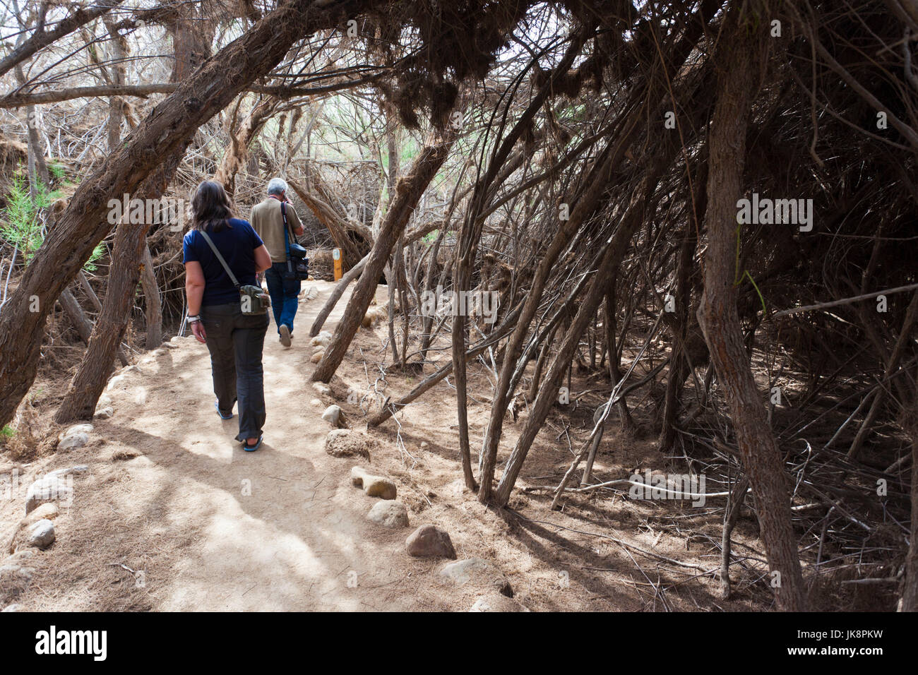 Jordan, Jordan River Valley, Bethany-Beyond-The-Jordan-Al-Maghtas ...