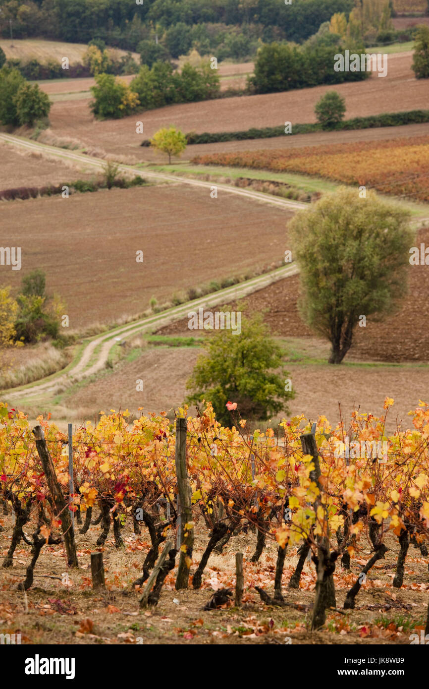 Gaillac region hi-res stock photography and images - Alamy