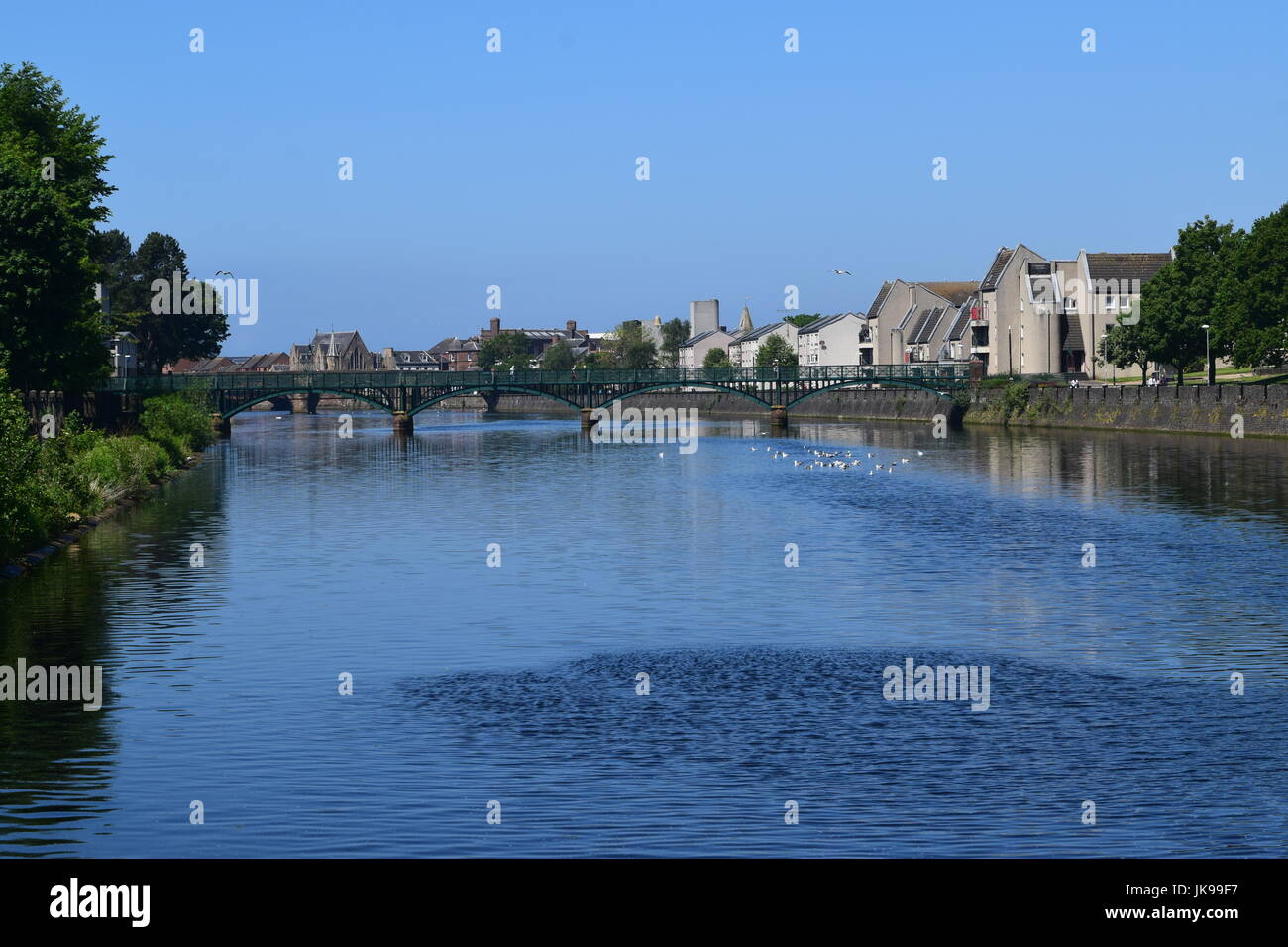 Bridge on the River Ayr Stock Photo - Alamy