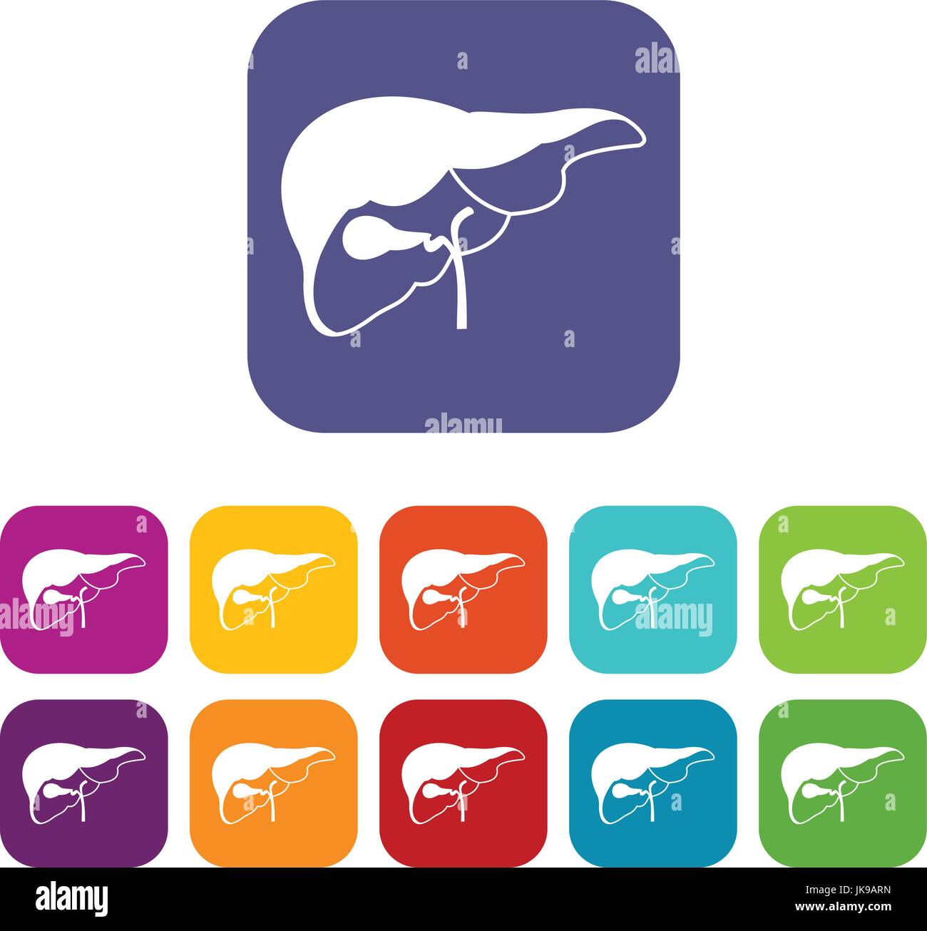 Hepatic artery liver Stock Vector Images - Alamy