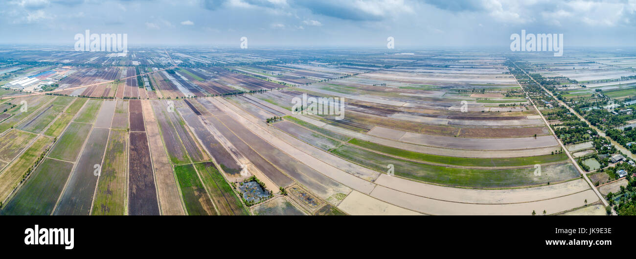 panorama aerial view of rice field in Thailand Stock Photo - Alamy