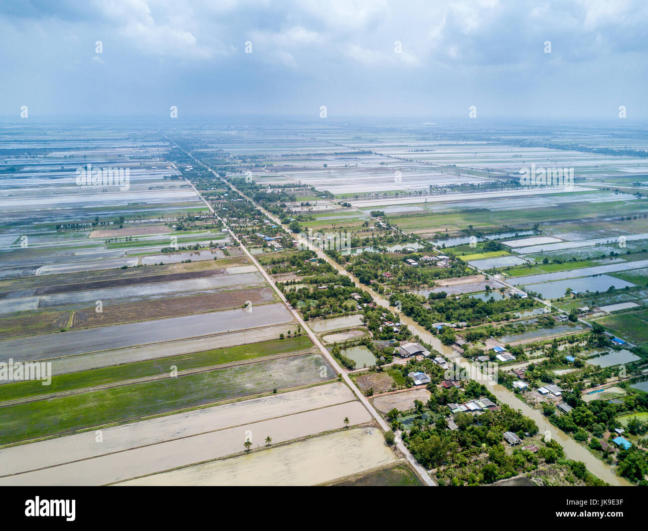 Aerial view of rice field in Thailand Stock Photo - Alamy