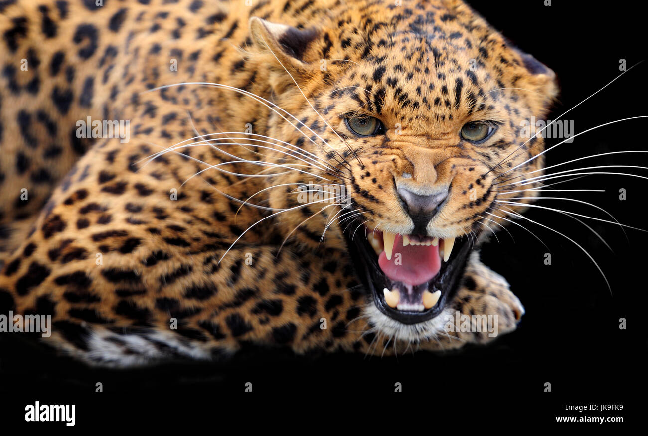 Attentive environment hi-res stock photography and images - Alamy