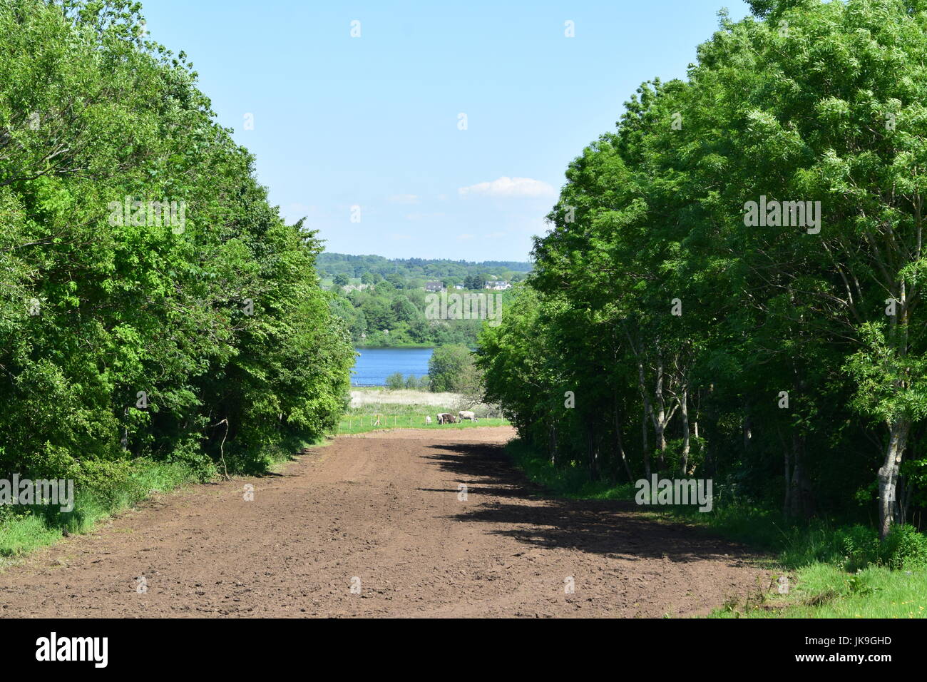 Eglinton park hi-res stock photography and images - Alamy