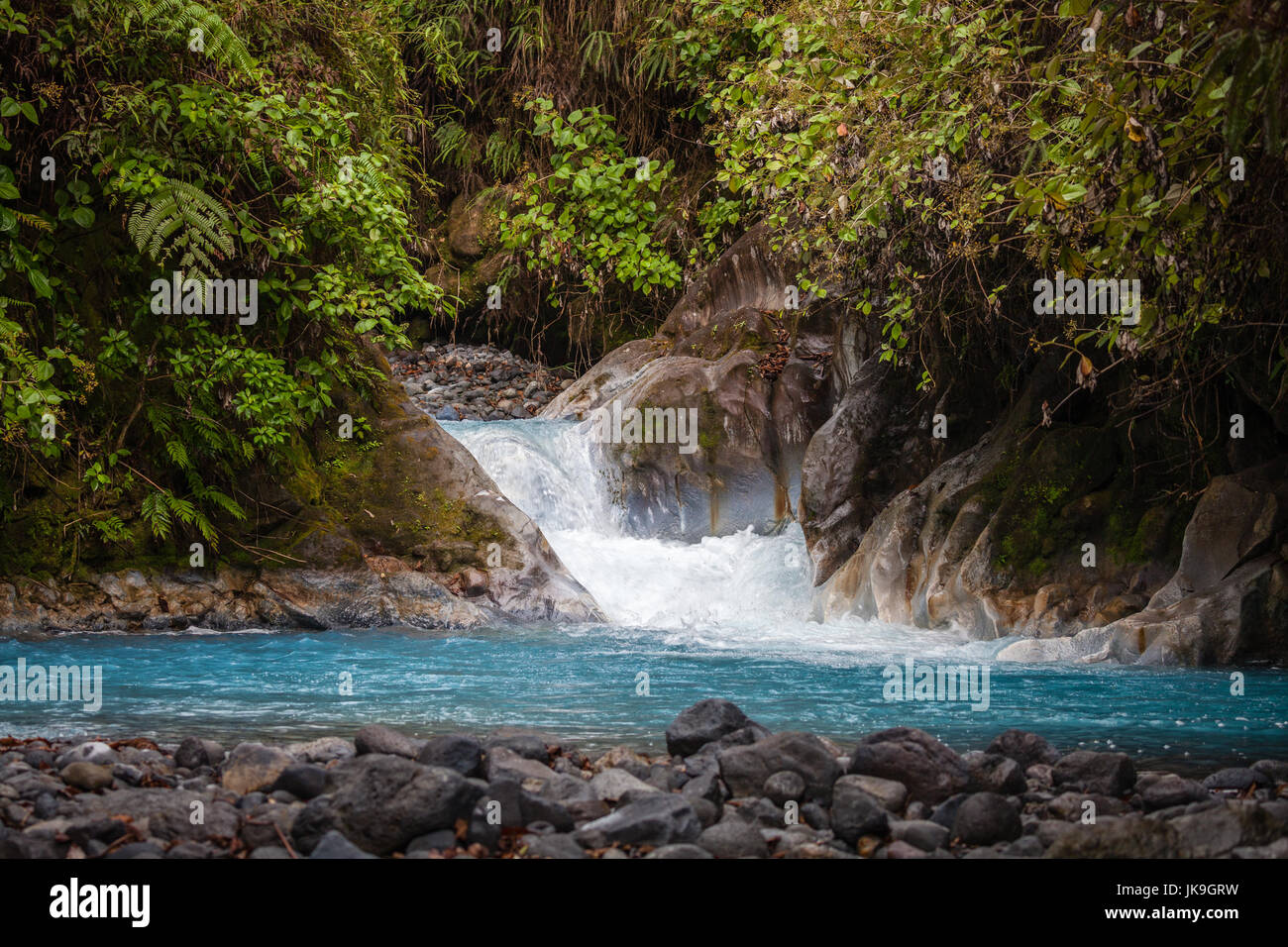 Topical insects hi-res stock photography and images - Alamy